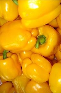 Poivron jaune doux – Centre de Jardin Barbe